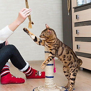 LDXDRU 20Pcs Silvervine Sticks for Cats, Natural Cat Chew Toys, Nylatails Silvervine Dental Stick for Dental Care, Edible Matatabi Cat Chew Sticks for Teeth Cleaning, Kitty Toys for Indoor Cats