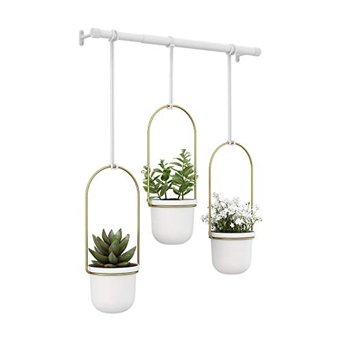 Umbra 1011748-524 Triflora Hanging Planters for Indoor Plants or Herbs, White/Brass,42" Width