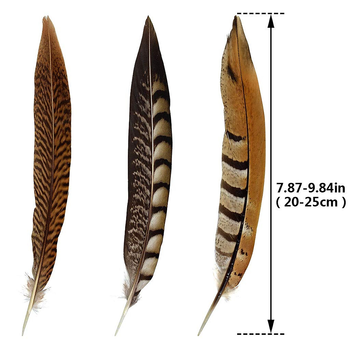 obmwang 21 Pcs 20-25cm Natural Pheasant Feathers for DIY Craft Wedding Home Party Decorations, 3 Styles