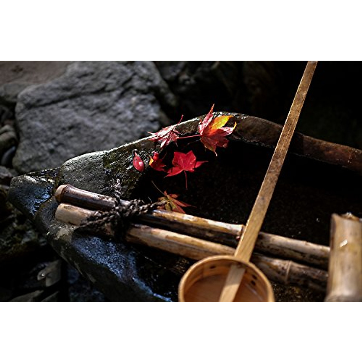 FUJIFILM digital camera X100F black X100F-B--JAPAN IMPORT