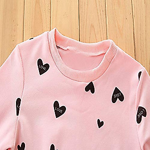 Little Girl Clothes Infant Outfits Set 2 Pieces Long Sleeved Tops and Pants (Pink, 2-3 T)