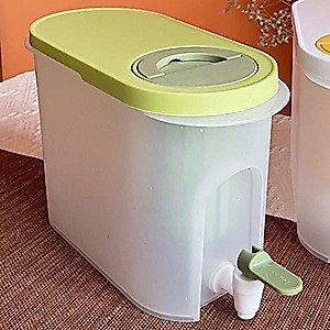 Refrigerator Cold Kettle Silicone Sealing Refrigerator Cold Kettle Double Filtration for Kitchen (Green)