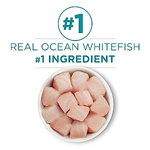 Purina ONE Natural, High Protein, Grain Free Wet Cat Food Pate, Ocean Whitefish Recipe - (Pack of 24) 3 oz. Pull-Top Cans