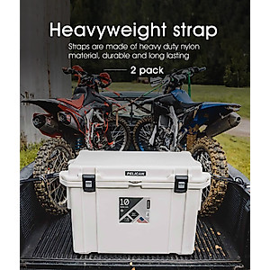 ALIENSX Cooler Tie Down Kit, Cooler Tie Down Straps for RTIC YETI Coolers, Cam Buckle Lashing Straps, Secure to Boats, Trailers, Trucks, ATVs and More, Prevent from Slipping (Black)