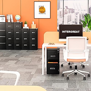 INTERGREAT 4 Drawer Vertical File Cabinet, Black Metal Filing Cabinet with Lock, Tall Lockable Cabinets with 4 Adjustable Hanging Frame for Home Office, Letter/Legal/F4/A4 Size