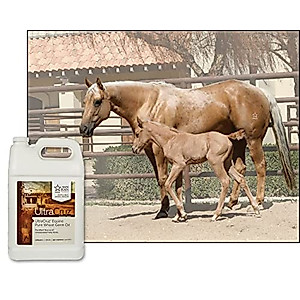 UltraCruz-sc-395355 Pure Wheat Germ Oil Supplement for Horses and Livestock, 1 Gallon