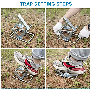 2 Pack Mole Trap, Mole Traps That Kill Best,Mole Killer Easy to Set, Mole Traps for Lawns,Mole Traps Scissor Metal Gopher Trap Large (Silver)