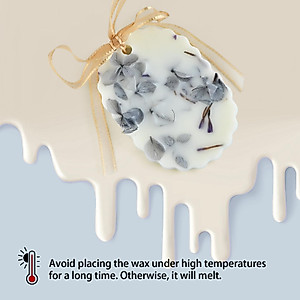 FOUSIUTIM Wax Melts Natural Candles Non Toxic. Wild Bluebell Scented Candles. Soy Candle Wax Includes 464 Soy Wax, Beeswax Candles, Dried Flowers and Plant Essential Oil. Stress Relief Gifts.