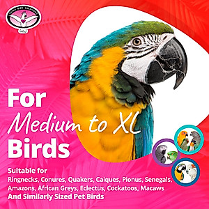 Super Bird Creations SB1155 Fatty Bagels - Durable Cardboard Core Bird Toy Components, Ideal for Parrots, Chewing and Play, Perfect Refill for SB1107 Bagel Cascade - Bird-Safe Paper, Pack of 24