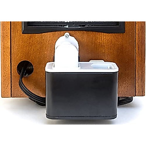 Dr Infrared Heater DR-998, 1500W, Space Heater with Humidifier, Oscillation Fan & Remote Control (Cherry)