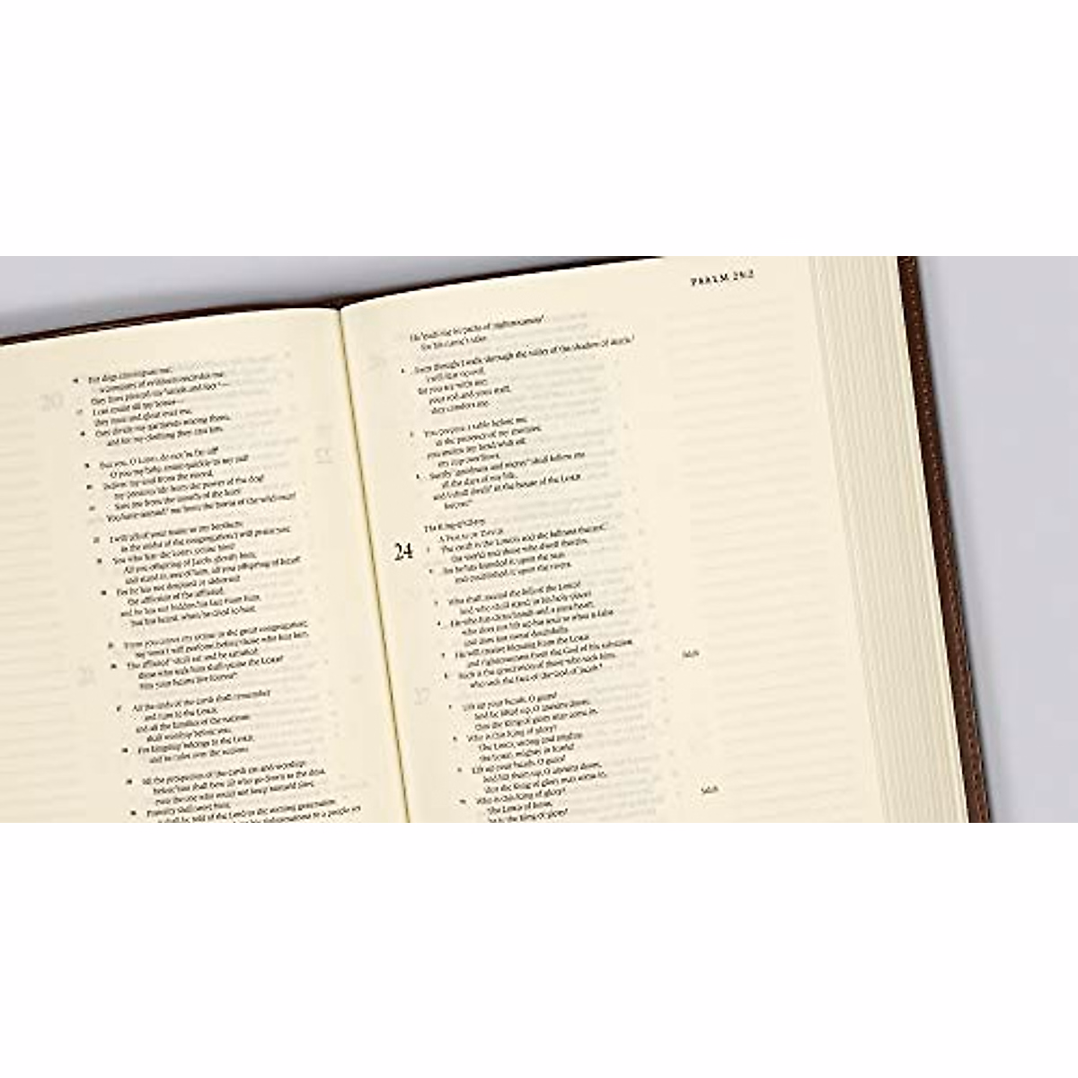 ESV Single Column Journaling Bible (TruTone, Chestnut, Leaves Design)