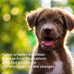 EarlyStart Digestive Support, probiotics, prebiotics and colostrum for dogs and cats. Recommended for young pets, upset stomach, diarrhea, allergies and immune function. Made in USA, 90 servings