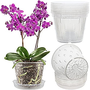 REMIAWY Orchid Pot, 8 Pack Orchid Pots with Holes and Saucers, 5.5 Inch Clear Orchid Pots for Repotting, Plastic Flower Plant Pot Indoor Outdoor, Breathable Slotted Orchids Planter