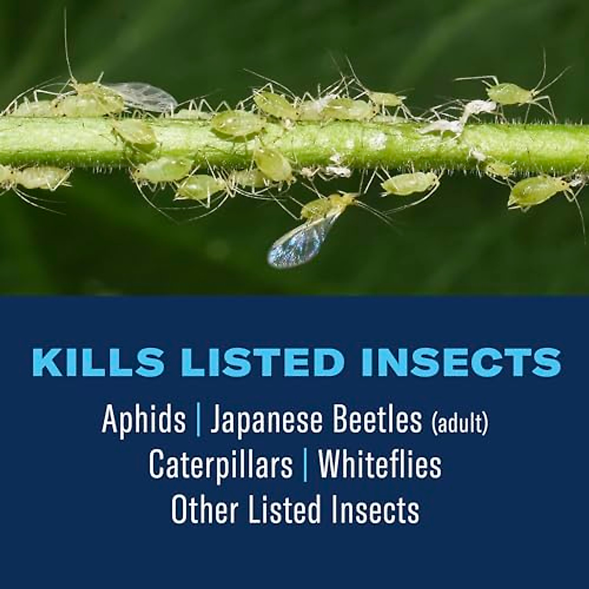 BioAdvanced Tree & Shrub Insect Killer, Ready-to-Spray, 32 oz