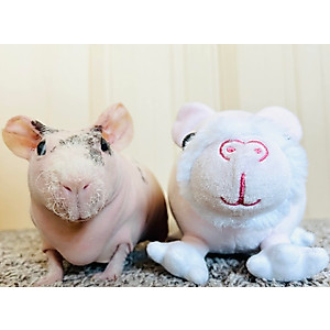 Sunny Sapling 8 Inch Hairless Guinea Pig Stuffed Animal with Small Mesh Laundry Bag (Noodle The Skinny Pig)