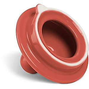 Pavilion Gift Company Bloom Mother Ceramic Tea for One, 15 oz, Multicolor