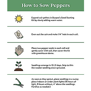 Burpee Great Stuff Sweet Pepper Seeds 40 seeds