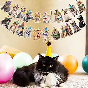 2pcs Cat Theme Party Banner Decorations Pet Cat Birthday Party Decorations Baby Cat Birthday Party Garland Decorations for Pet Kitties Theme Birthday Party Baby Shower Favor Bunting Supplies