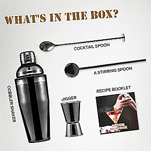 Purism Cocktail Shaker,4-Piece Stainless Steel Bartender Kit Essential Cocktail Bar Tool Set,25 oz Martini Shaker with a Built in Strainer lid &Manual of Recipe, Bar Set for Home Drink Mixing（Black）