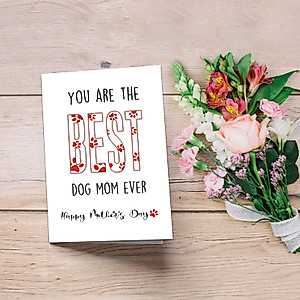 Card for Mom Mother's Day Card, Funny Birthday Greeting Card for Mommy Mama, Original Rude Punch Her Face Humor Card for Mother