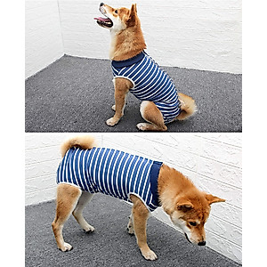 COCHPR Surgery Suit for Dogs Recovery Suit Abdominal Wound Puppy Surgical Clothes Post-Operative Vest Pet After Surgery Wear Substitute (XXXL, Blue and White)