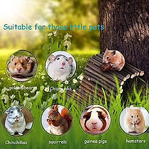 kathson 2 PCS Hamster Wooden Bridge Guinea Pig Ladder Rat Chew Toys Wood Ladder Natural Hideout for Small Animal Chinchillas Gerbils Ferret Syrian Hamster Squirrel