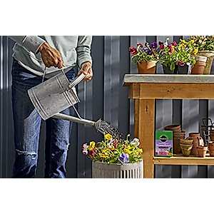 Miracle-Gro 1001921 Water Soluble Flower Food, 1.5 lb