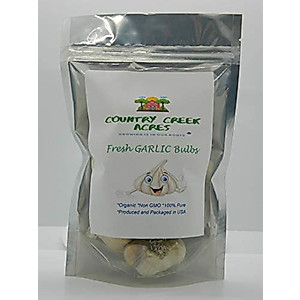 GARLIC BULB (7 Pack), FRESH CALIFORNIA SOFTNECK GARLIC BULB FOR PLANTING AND GROWING YOUR OWN GARLIC OR GREAT FOR EATING AND COOKING