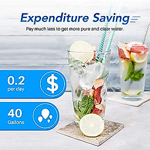 ICEPURE Pitcher Water Filter Replacement for PUR CRF950Z, CRF-950Z, PPF900Z, PPF951K, PPT700W, CR-1100C, CR1100CV, DS-1800Z, PPT711W, PPT711B, PPT111W and More PUR Pitcher and Dispensers System, 3PACK