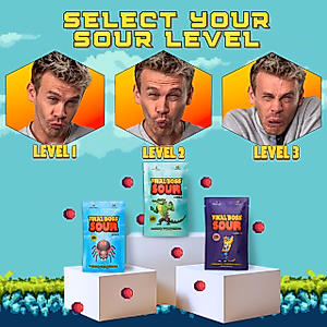 Final Boss Extremely Super Sour Candy, Natural Chewy Cranberry Gummies Made with Dried Fruit, Free of Artificial Colors, Low Calorie Healthy Snack for Kids & Adults, 1.06oz, 10 Pack (LvL 2 Sourness)