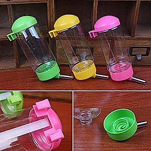 TECHPO Pet Water Bottle 1pcs 500ml Automatic Pet Drinking Water Supply Water Feeder Bottle for Small Cat Dog Hamster Gerbil Random Color Bottle Product Details (Color : Blue)