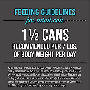 Tiki Cat After Dark, Variety Pack, High-Protein and 100% Non-GMO Ingredients, Wet Cat Food for Adult Cats, 5.5 oz. Cans (Pack of 8)