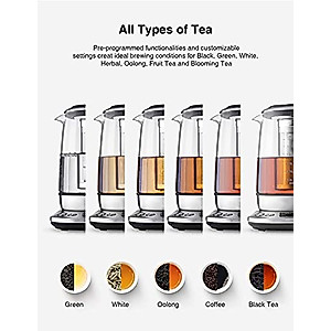 Electric Tea Kettle, 1.7L Variable Temperature Electric Kettle, Fast Boil Glass Water Kettle with 2Hr Keep Warm Function, Premium Stainless Steel, Boil Dry Protection, 1200W