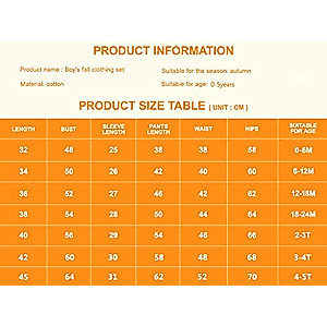 Baby Boys Dinosaur Long Sleeve Hoodie Tops Sweatsuit Pants Winter Outfit Set Gray