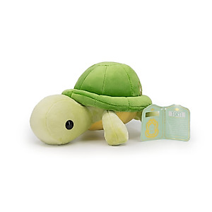 Bellzi Green Turtle Cute Stuffed Animal Plush Toy - Adorable Soft Turtle Toy Plushies and Gifts - Perfect Present for Kids, Babies, Toddlers - Torti