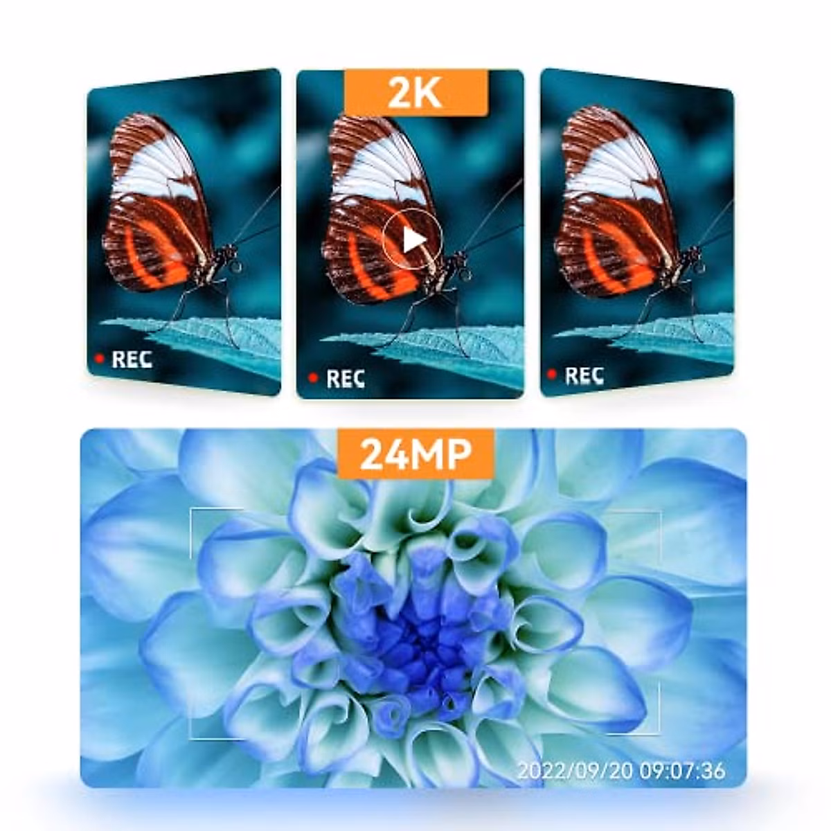 Elikliv EDM402 Max 10.1" HDMI Digital Microscope 1200X with 2K IPS Screen, 24MP LCD Digital Microscope with 64GB TF Card, Bottom Transmitted Light, 10" Long Stand for Entire Coin, PC/TV Compatible