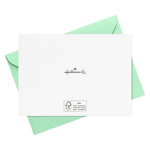 Hallmark Minimalist Thank You Note Card Assortment (48 Blank Cards with Envelopes) Mint Chevron, Blush Polka Dot, Stripes