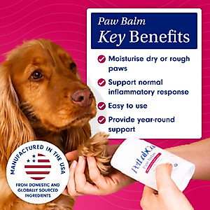 PetLab Co. Paw & Probiotic Bundle: Dog Paw Balm to Support Dry, Cracked Paws 2.4 Ounces & Dog Probiotics for Gut Health, Seasonal Allergies, Skin & Ear Yeast 30 Count