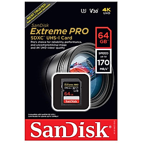 Sony Alpha a6100 Mirrorless Camera with 16-50mm and 55-210mm Lenses, Video Bundle + LED Video Light + Microphone + Extreme Speed 64GB Memory(21pc Bundle)
