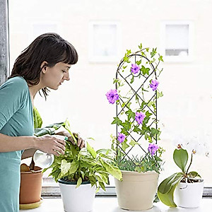 3 Pcs Garden Trellis for Climbing Plants Indoor, 23" x 7.7" Rust Proof Metal Support Wire with Decorative Lattice Grid Panels for Garden Indoor Potted Climbing Stems Stalks Vines