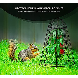 Garden Cloche Plant Protectors from Animals Chicken Wire Cloche Dome for Plants to Protect from Deer Rabbits in Outdoor Vegetable Garden with Thick Rustproof Large Cloches 12" Cage 20" High Set of 6