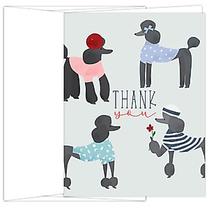 Koko Paper Co Black and Blue Standard Poodles Thank You Cards | 15 Folded Cards and 15 Bright White Envelopes (30 Count Total) | Printed on Heavy Card Stock.