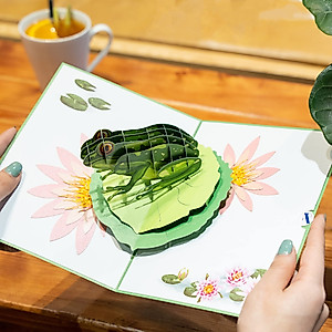 Rykamia Green Frog Pop Up Card, Blank Frog Card With Envelop, Frog Birthday Card, Frog Card for Kids, Frog Gift, Just Because, Get Well Soon, Frog Thank You Card, Frog Card For Mom, Wife, Daughter