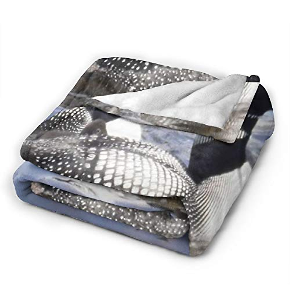 YUNIKER Blanket Loon Lake Duck Warm Super Soft Home Blanket Lightweight Plush Throw Blanket Microfiber Premium Sherpa Blanket for Couch Sofa Bed 80"" x60