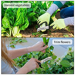 Linsen-outdoor Black Handle Pruning Knife,Grafting Knife, Stainless Steel Garden Budding Knife, Folding Pocket Knife for Grafting Multi Cutting Tool, Weed Bushes Branches Mushroom Diggig Knife