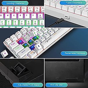 60% True Mechanical Gaming Keyboard Mouse Set, Type C Wired 61 Keys Layout Rainbow LED Backlit USB Waterproof Keyboard Anti-ghosting Keys+Lightweight RGB Mice 6400DPI for Computer/PC/Laptop/MAC(White)