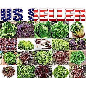 Please Read! This is A Mix!!! 1000+ Lettuce Mix 21 Varieties Seeds Heirloom Non-GMO. Seeds are not Individually Packaged!