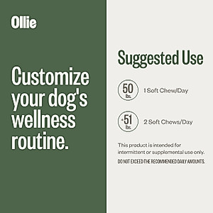 Ollie Belly Rubs Dog Probiotic Chews - Probiotics for Dogs - Dog Upset Stomach Relief - Probiotics for Dogs Digestive Health - Natural Dog Probiotics - Digestive Probiotics for Dogs - 60 Count Appx.