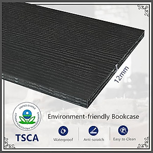 Tajsoon Tree Bookshelf 3 Tier Book Storage Organizer Shelves, Desktop Bookshelf Floor Standing Bookcase Display for CDs/Magazine/Books, Small Bookshelf for Bedroom, Living Room&Office, Black