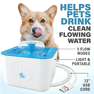 Pet Water Fountain, Dog Cat Water Fountain 84oz/2.5L, Automatic Ultra Quiet Pet Water Fountain Water Dispenser, Dog Bowl Dispenser with Super Long Life Span Pump, 3 Triple Filters, White
